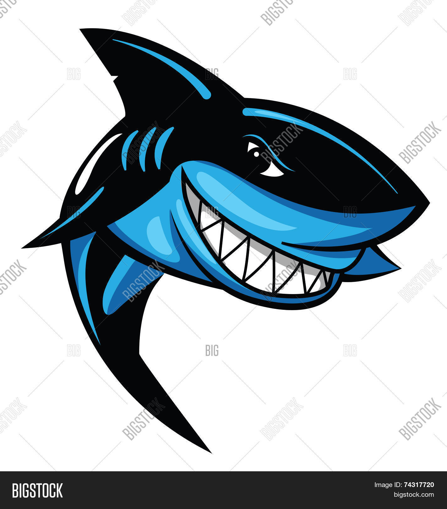 Shark Vector Vector & Photo (Free Trial) | Bigstock