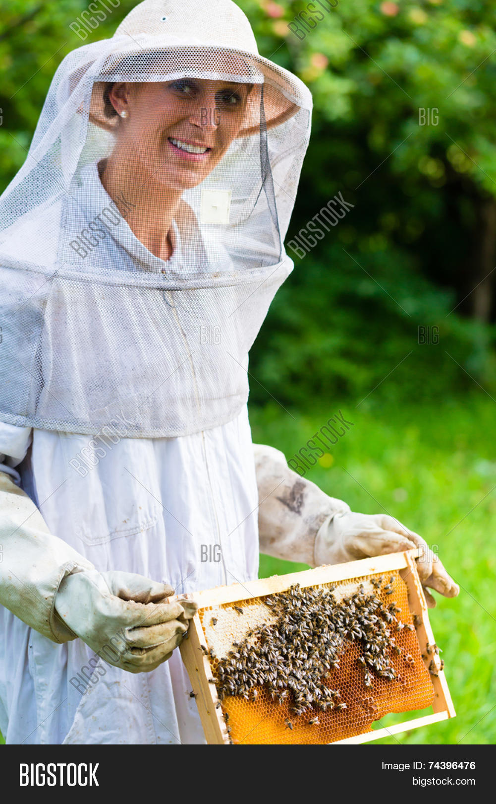 Beekeeper Controlling Image & Photo (Free Trial) | Bigstock