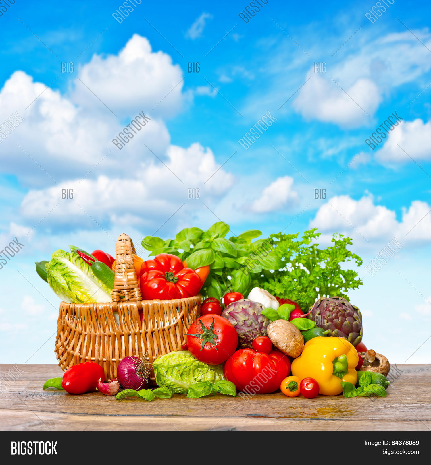 Fresh Vegetable Shopping Basket