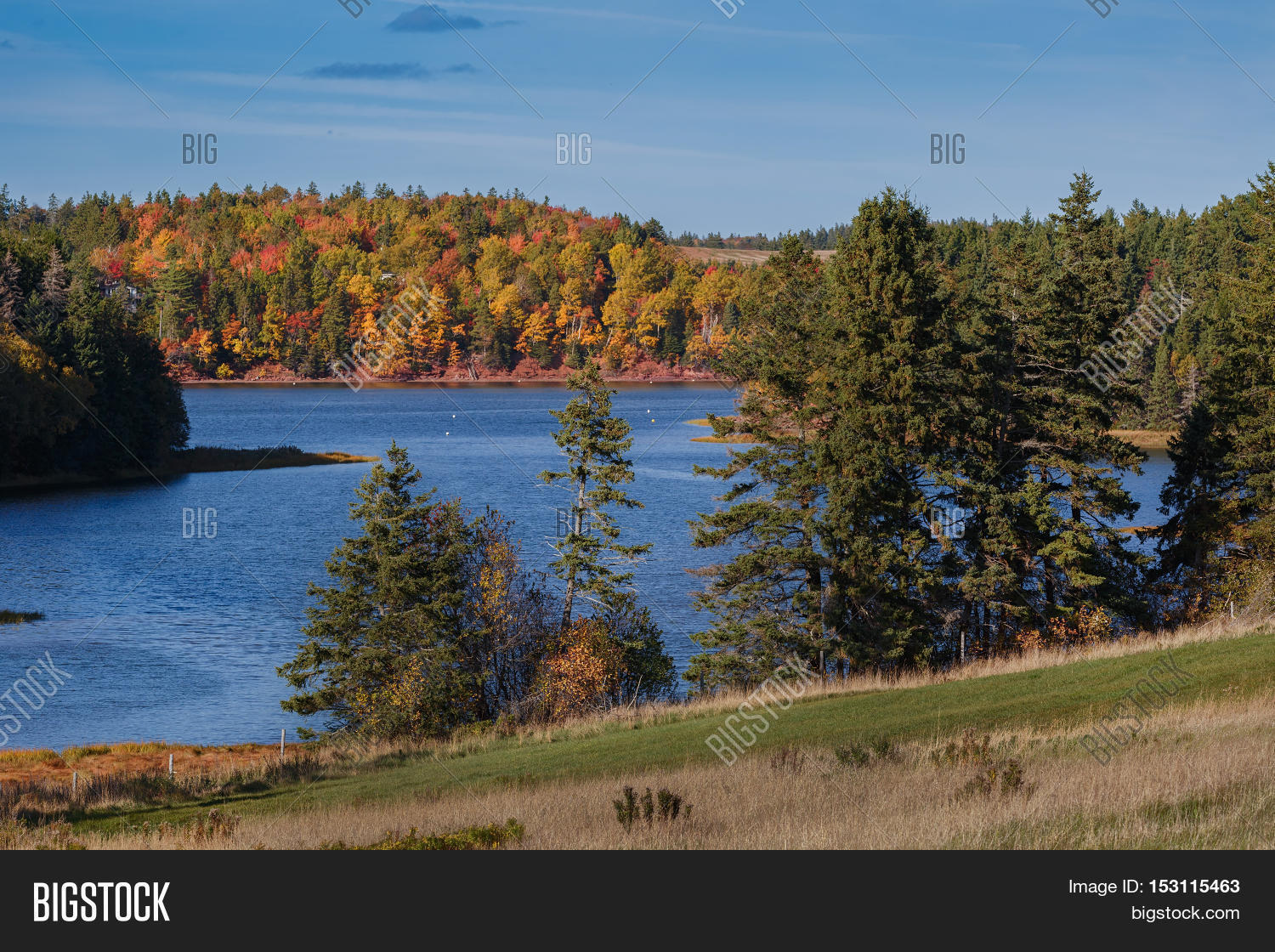 Fall Foliage Along Image & Photo (Free Trial) | Bigstock