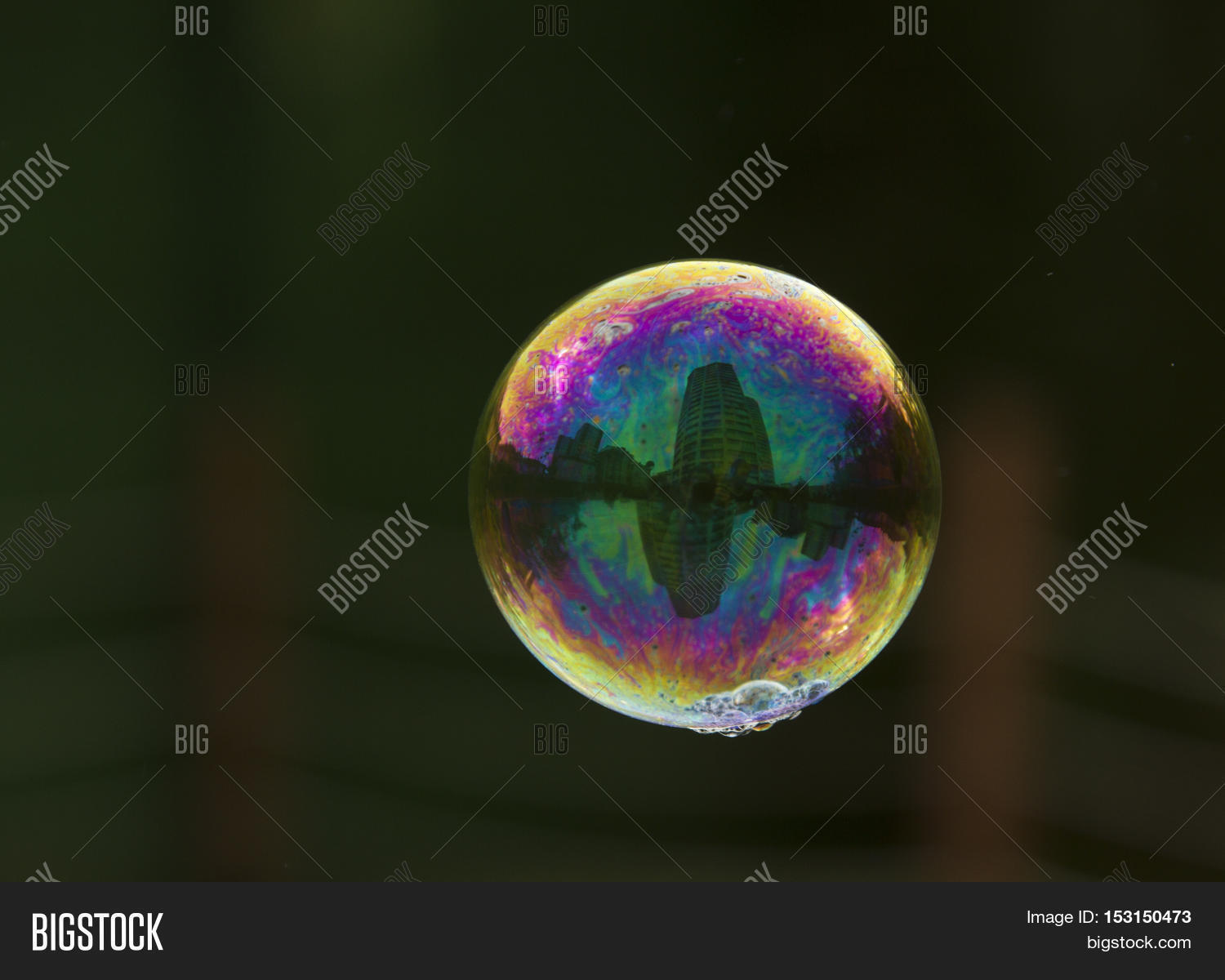 Bright Soap Bubble Image & Photo (Free Trial) | Bigstock