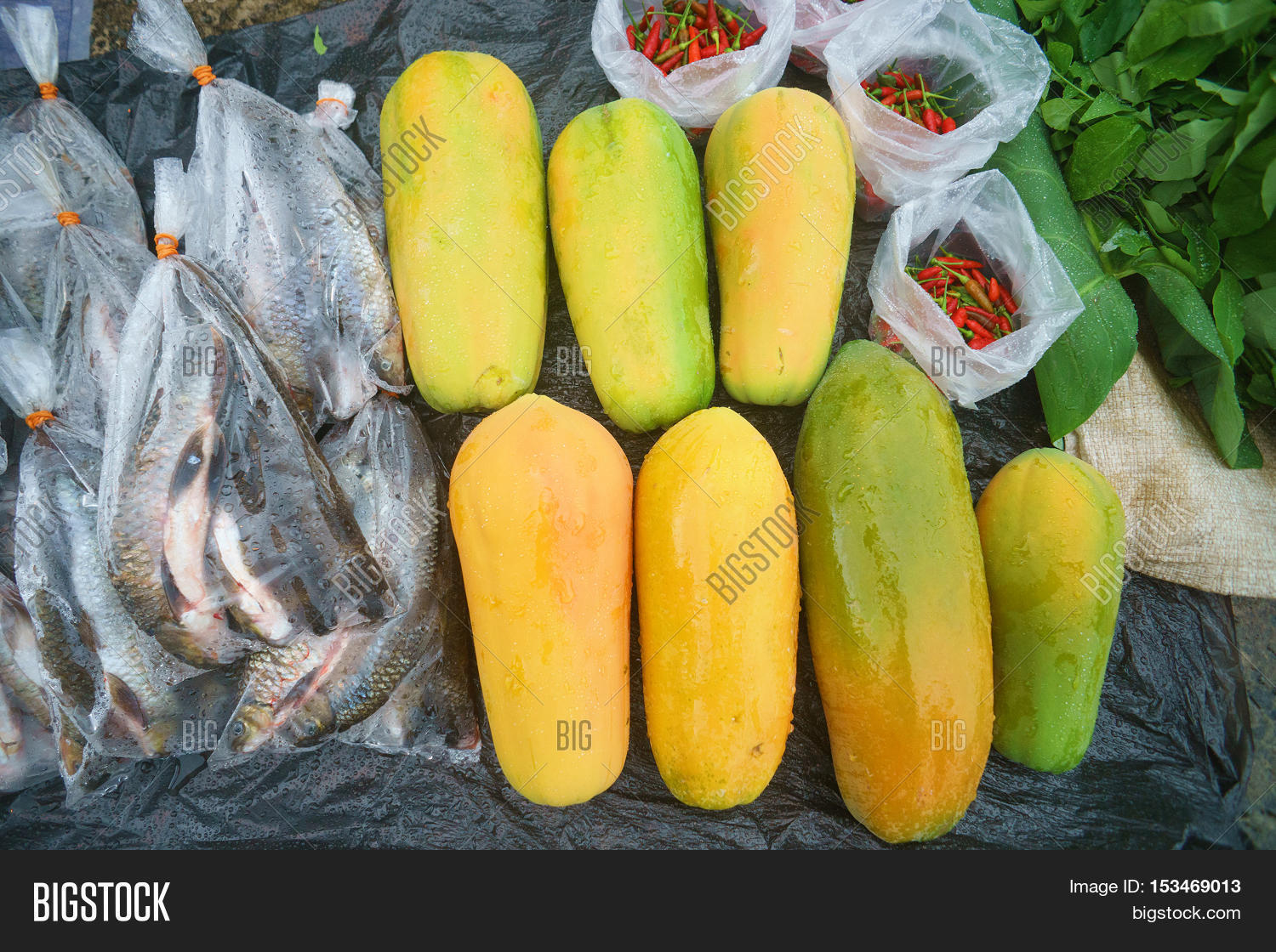 Papaya Freshwater Fish Image & Photo (Free Trial) | Bigstock