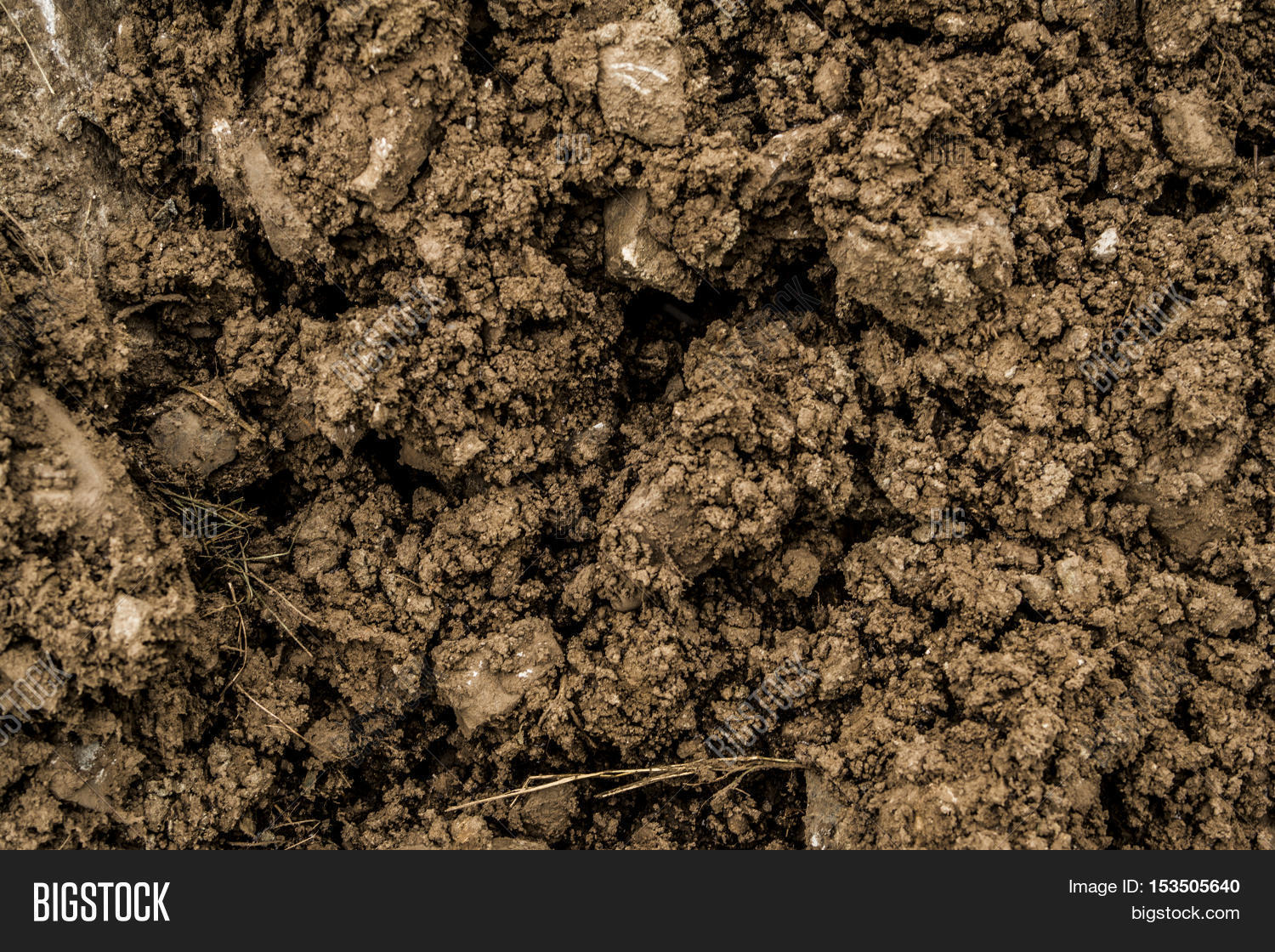 Soil, Ground, Wet Soil Image & Photo (Free Trial) | Bigstock