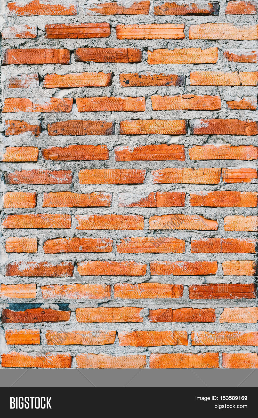 Beautiful Brick Wall Image & Photo (Free Trial) | Bigstock