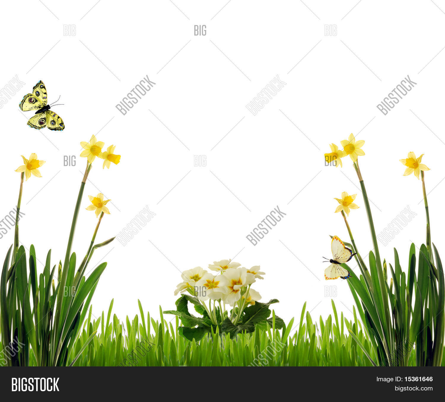 Spring Scenery Flowers Image & Photo (Free Trial) | Bigstock