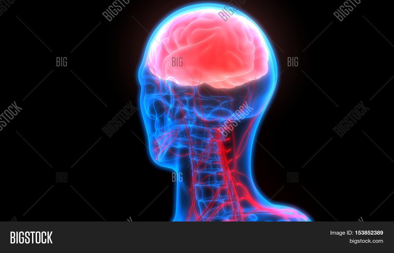 3D Illustration Human Image & Photo (Free Trial) | Bigstock