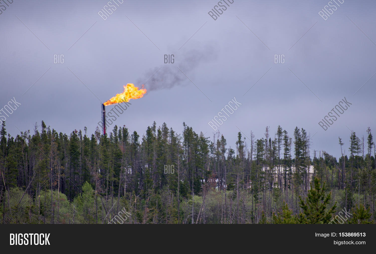 Flare Stack Flames Image & Photo (Free Trial) | Bigstock
