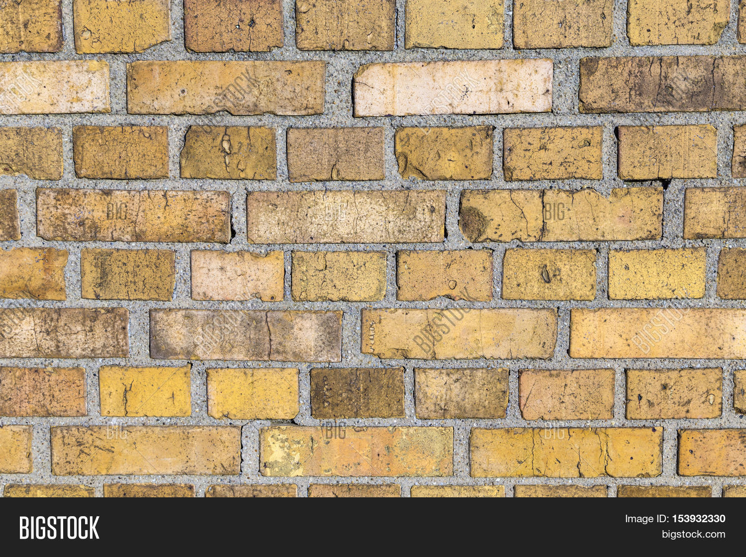 Yellow Brick Image & Photo (Free Trial) | Bigstock