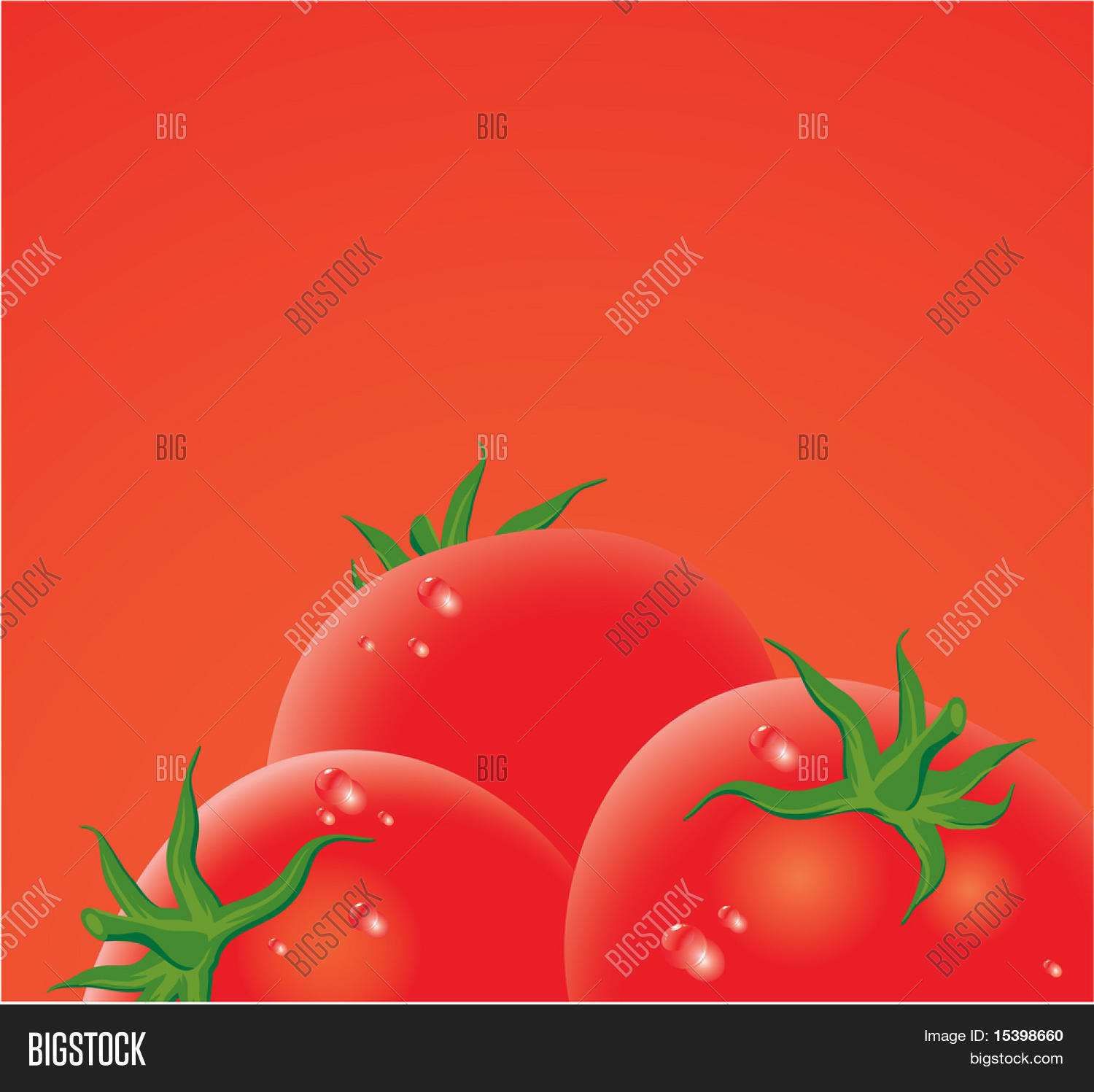Fresh Tomatoes Vector & Photo (Free Trial) | Bigstock