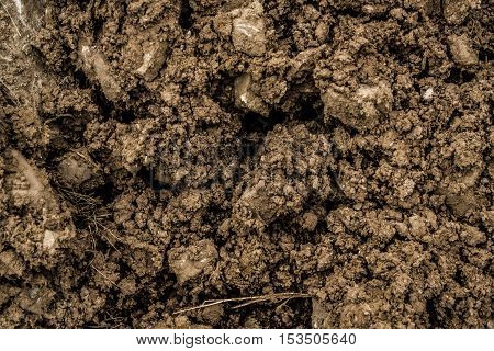 Soil, Ground, Wet Soil Image & Photo (Free Trial) | Bigstock