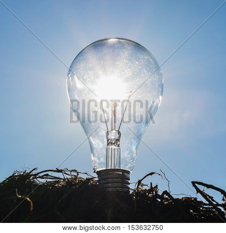 Light Bulb Sunshine Image & Photo (Free Trial) | Bigstock