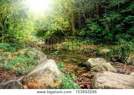 Mysterious River Image & Photo (Free Trial) | Bigstock