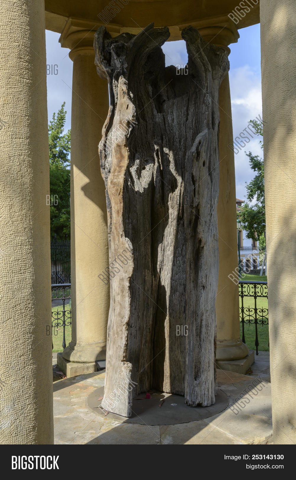 Old Tree Gernika Oak Image & Photo (Free Trial) | Bigstock