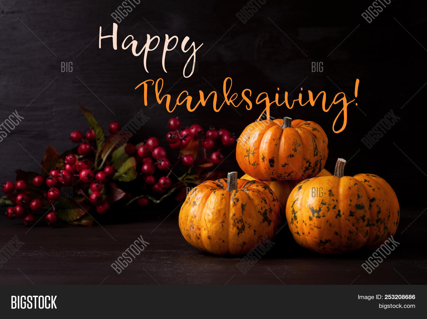 Happy Thanksgiving Image & Photo (Free Trial) | Bigstock