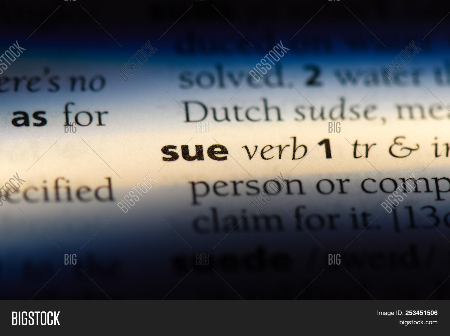 Sue Word Dictionary. Image & Photo (Free Trial) | Bigstock