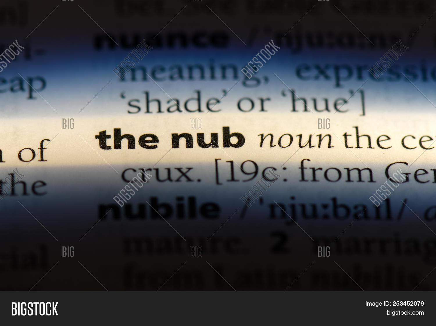 Nub Word Dictionary. Image & Photo (Free Trial) | Bigstock