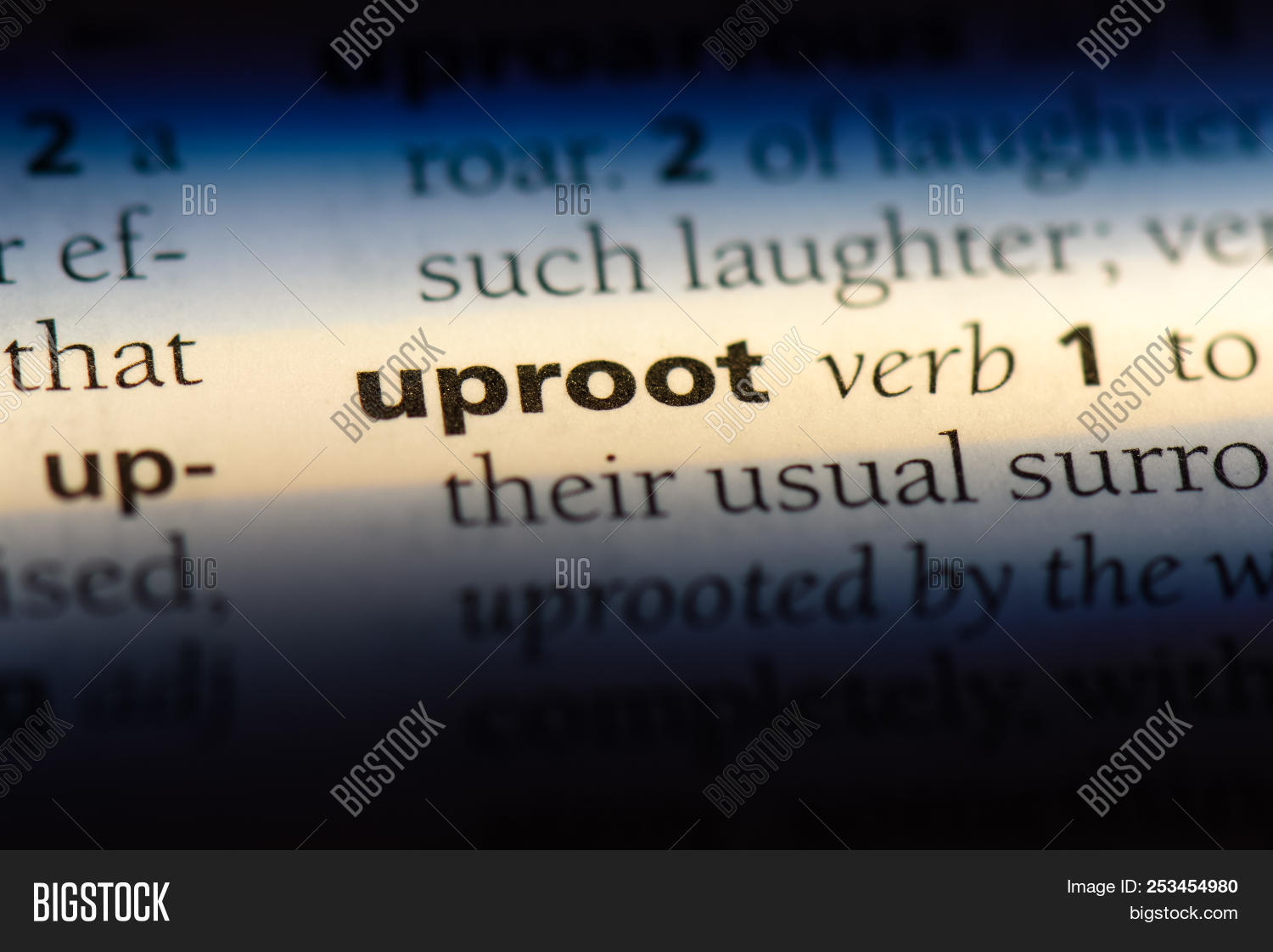 Uproot Word Dictionary Image & Photo (Free Trial) | Bigstock