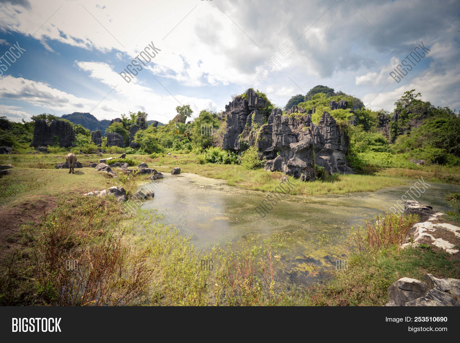 Beautiful Limestones, Image & Photo (Free Trial) | Bigstock