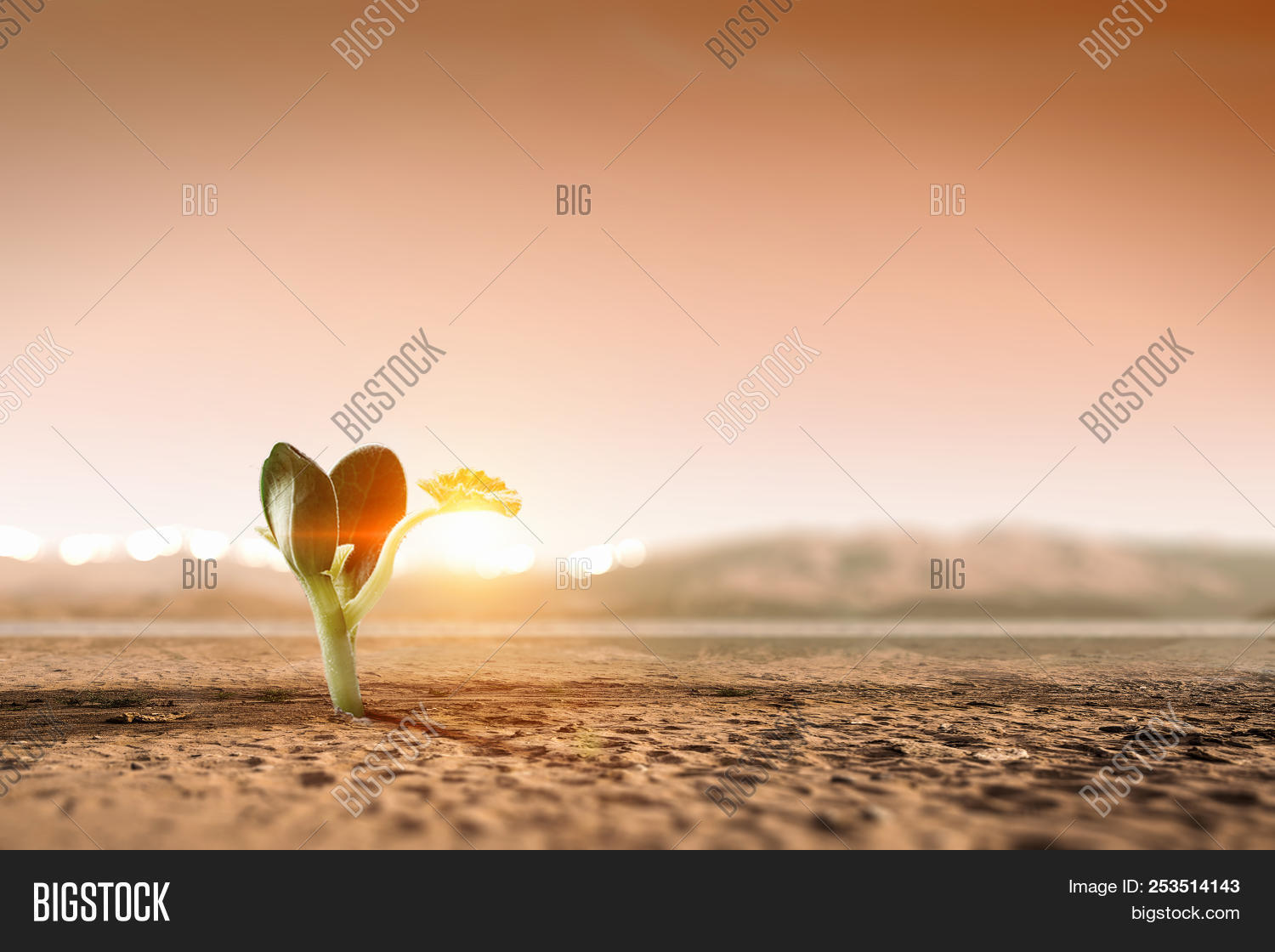 Birth New Life Image & Photo (Free Trial) | Bigstock