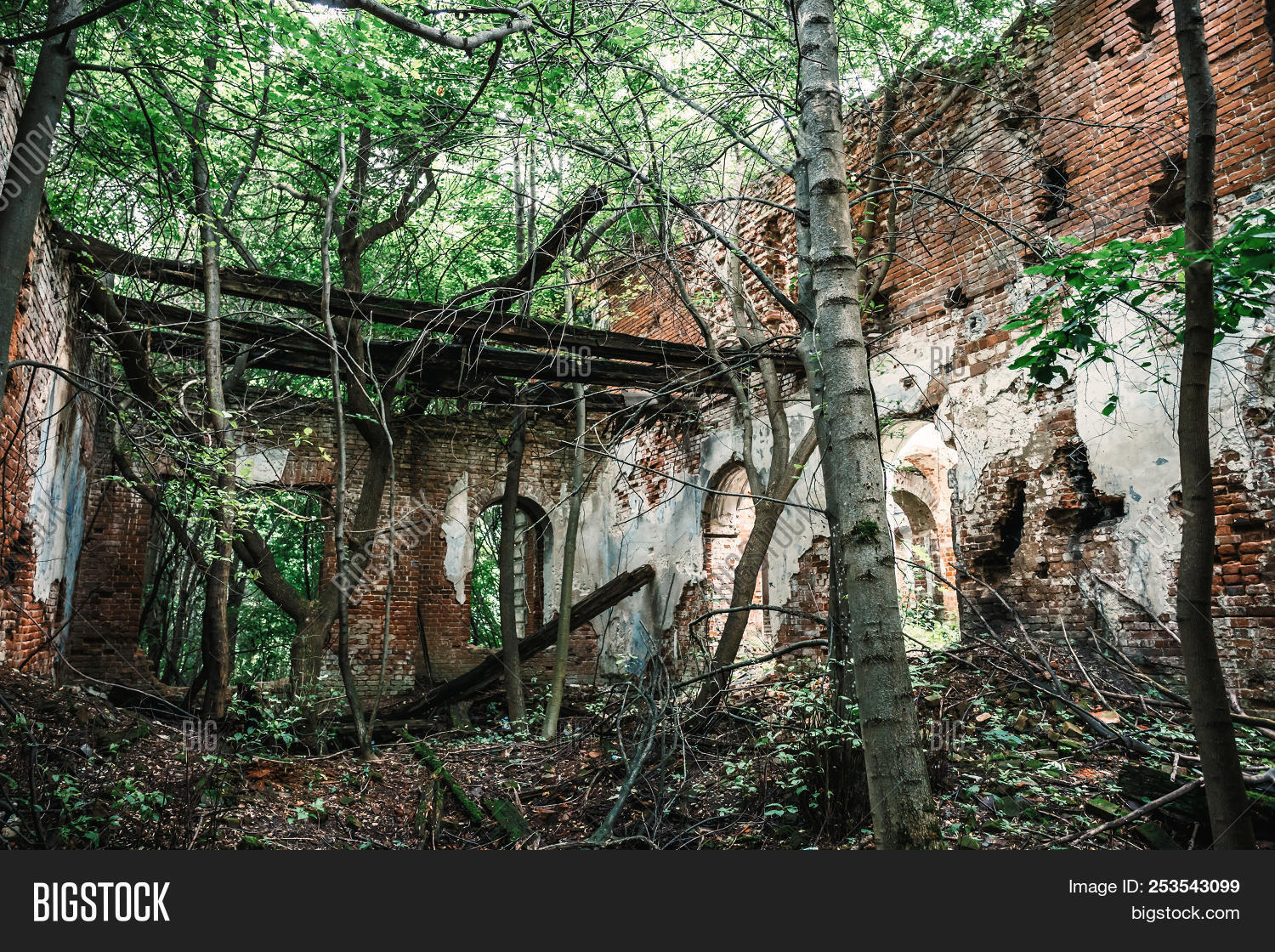 Old Ruins Medieval Image & Photo (Free Trial) | Bigstock