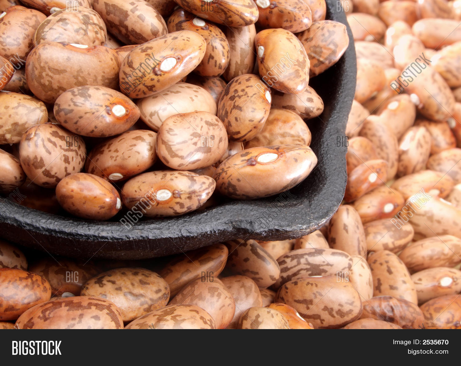 Organic Pinto Beans Image & Photo (Free Trial) | Bigstock
