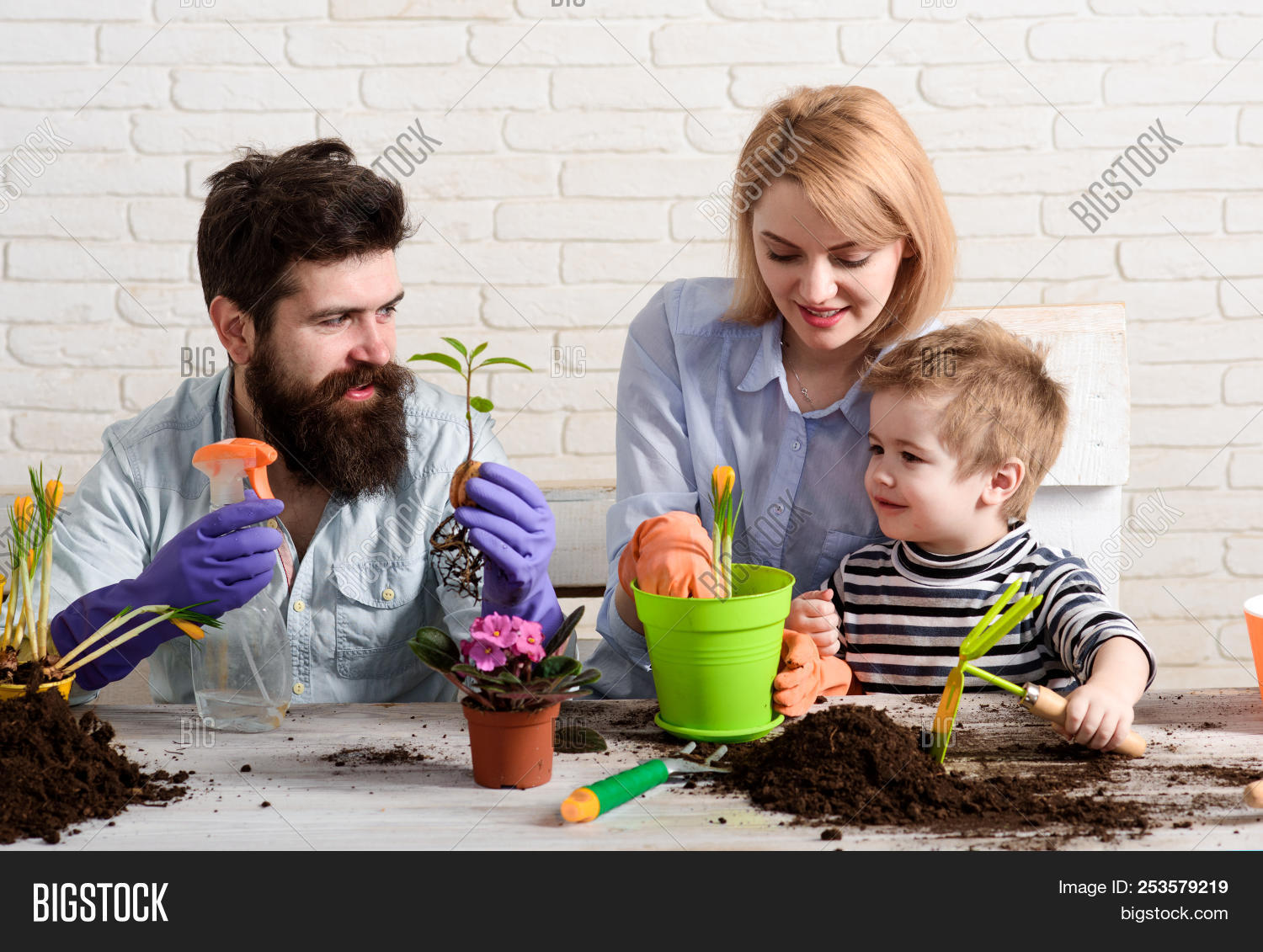 Planting Flower. Image & Photo (Free Trial) | Bigstock