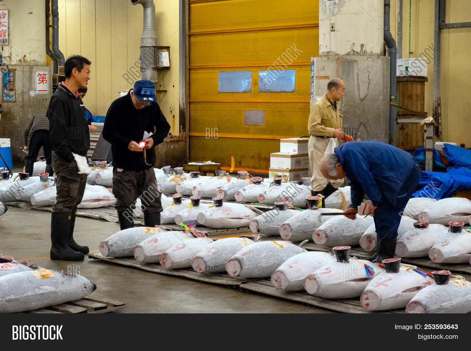 Tokyo, Japan - April Image & Photo (Free Trial) | Bigstock