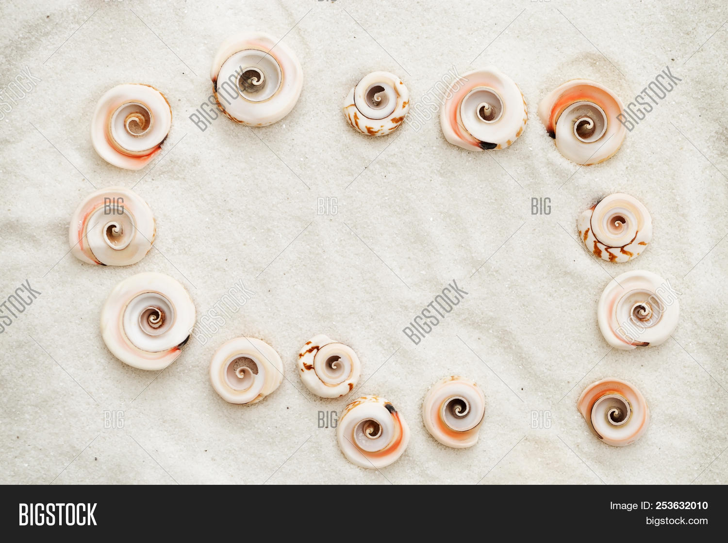 Frame Shells. Image & Photo (Free Trial) | Bigstock