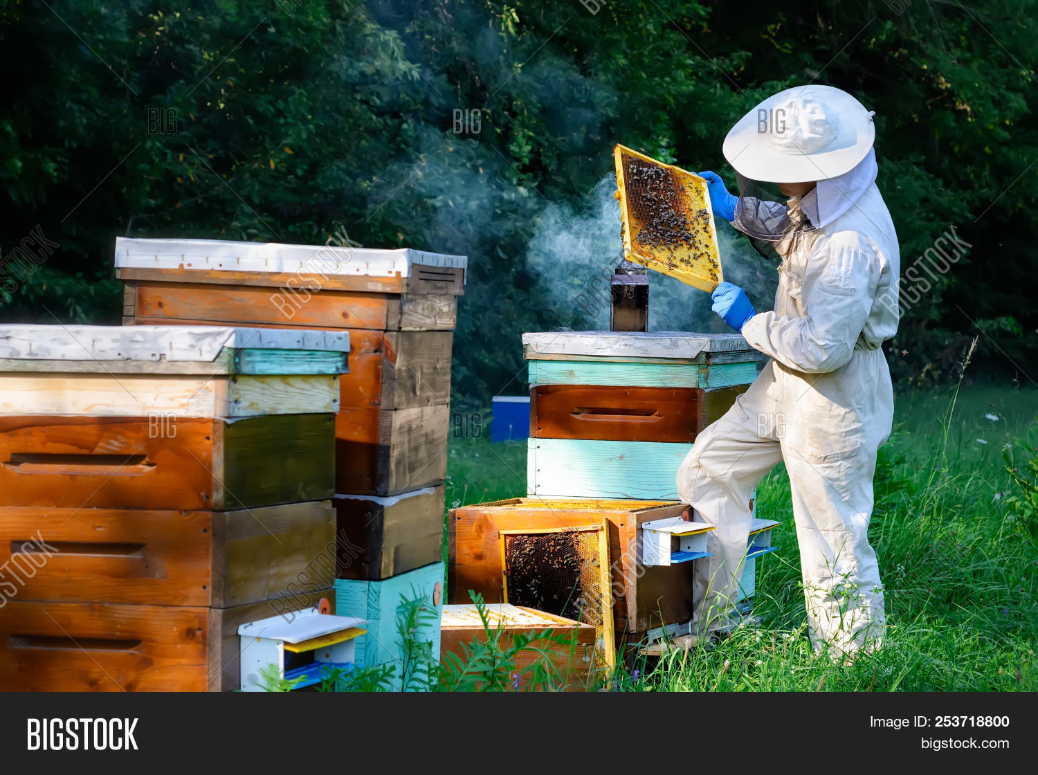 Young Man Beekeeper Image & Photo (Free Trial) | Bigstock