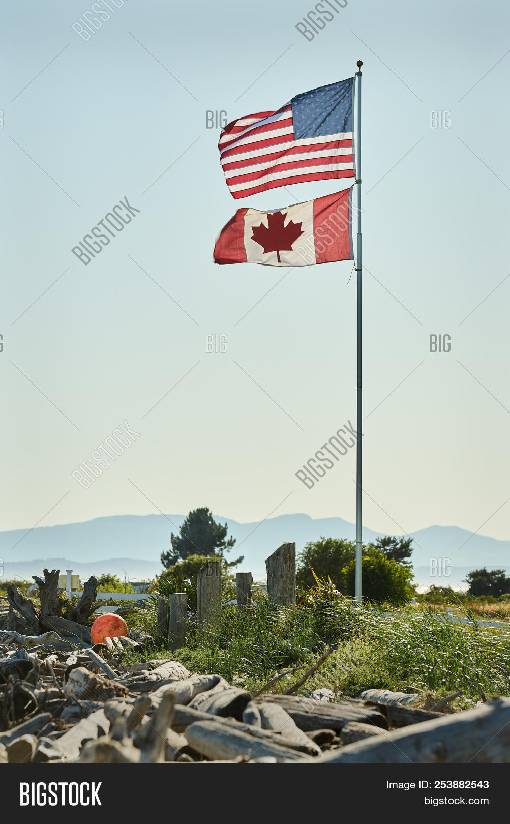 Us Canadian Flag. Us Image & Photo (Free Trial) | Bigstock