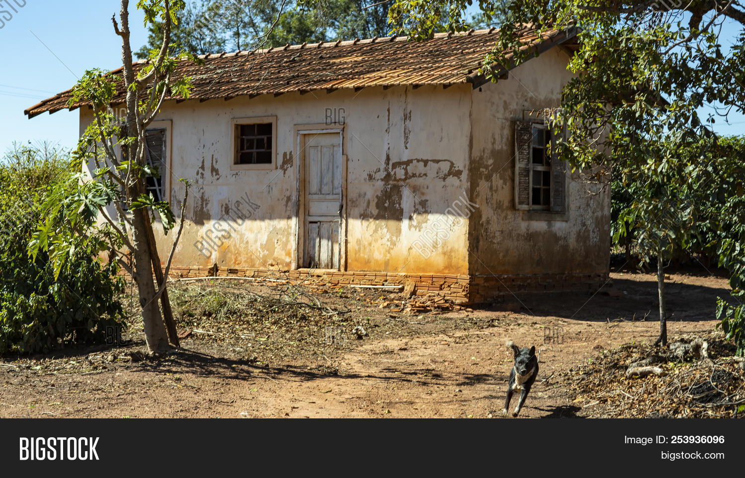 Poor Farm House, Tree Image & Photo (Free Trial) | Bigstock