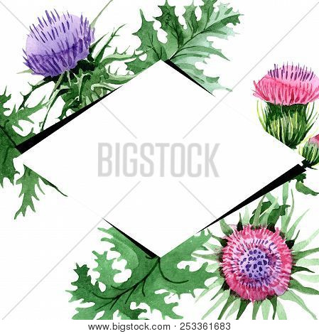 Thistle Border Images, Illustrations & Vectors (Free) - Bigstock