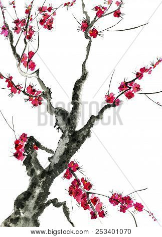 Branch Blossoming Tree Image & Photo (Free Trial) | Bigstock