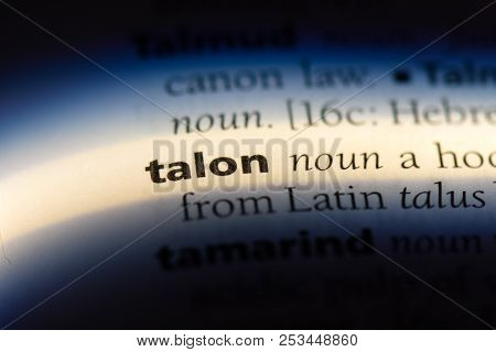 Talon Word Dictionary Image & Photo (Free Trial) | Bigstock