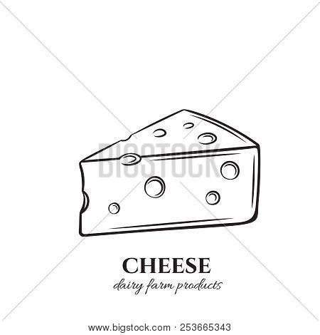 Cheese Outline Vector Vector & Photo (Free Trial) | Bigstock