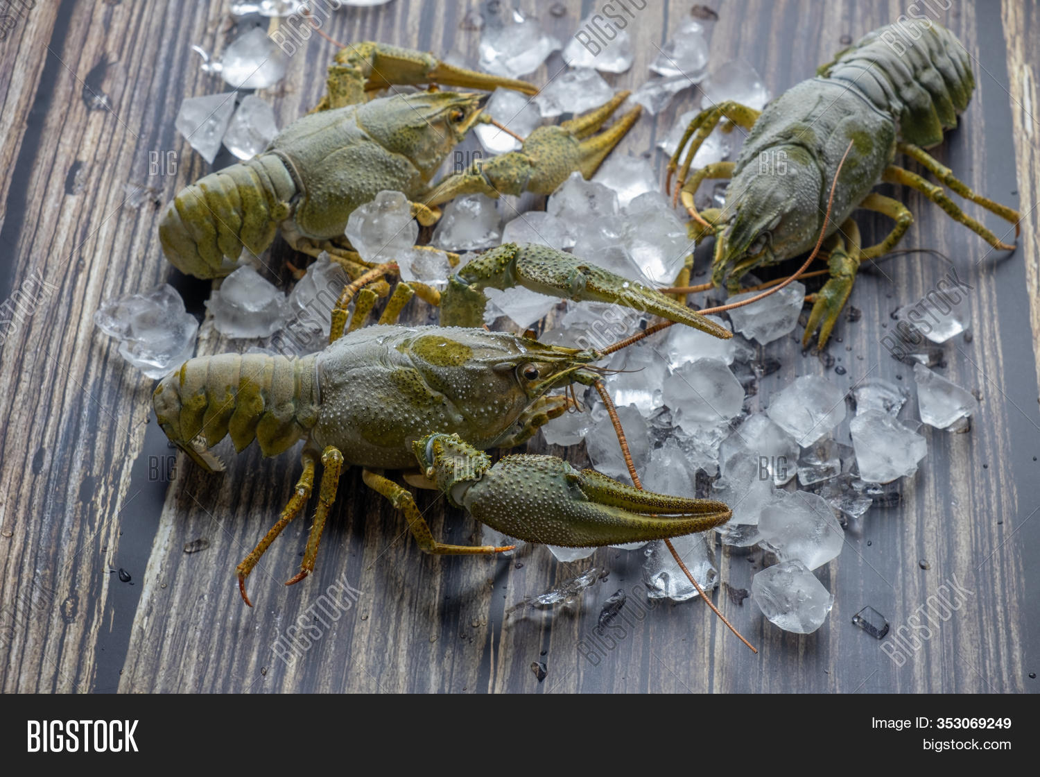 Frozen Green Crayfish Image & Photo (Free Trial) | Bigstock