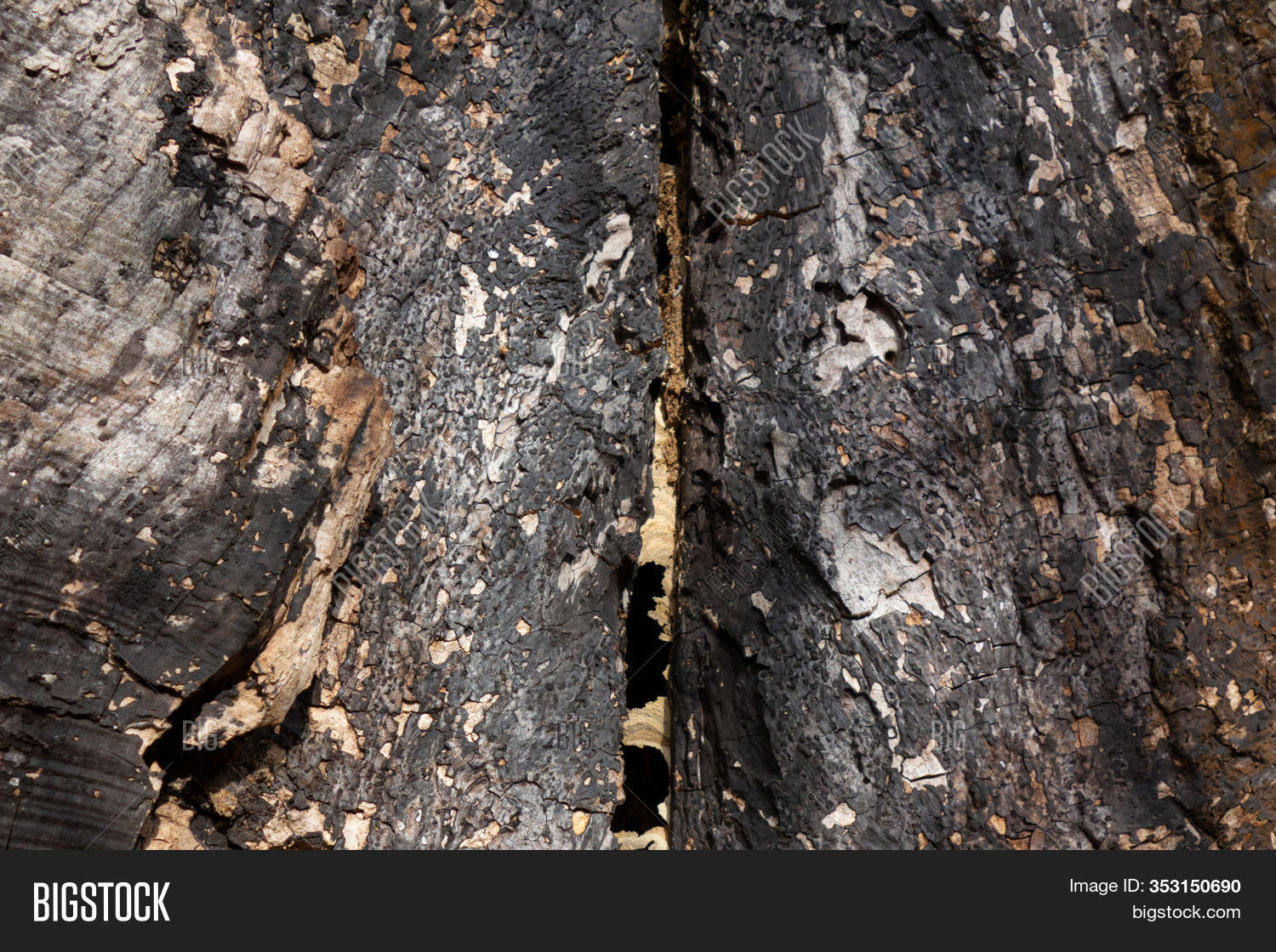 Aged Wood Cracks, Image & Photo (Free Trial) | Bigstock