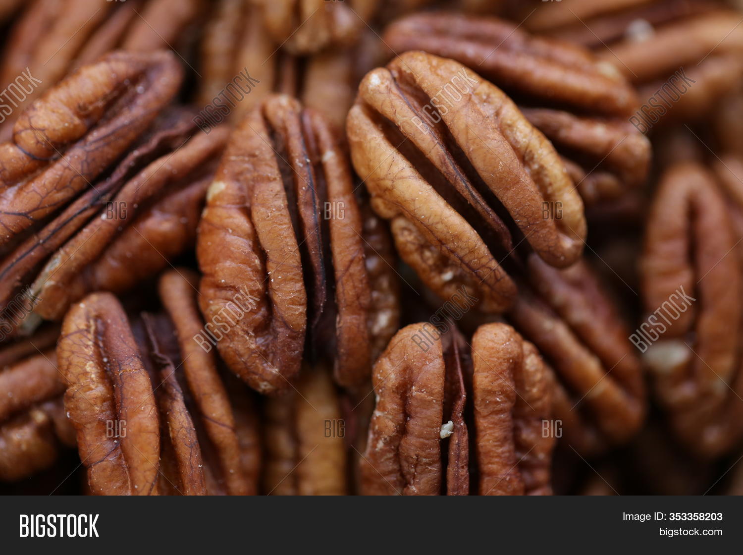 Pecan Nut Close-. Image & Photo (Free Trial) | Bigstock