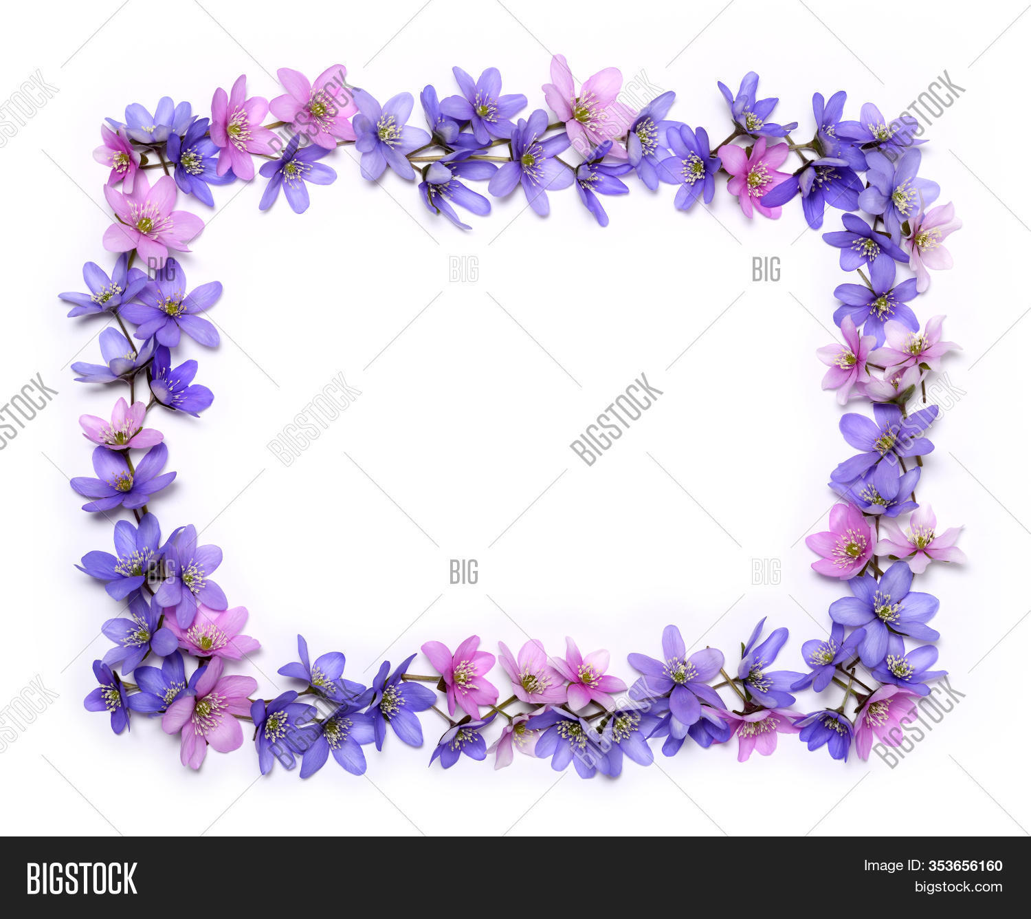 Beautiful Floral Frame Image & Photo (Free Trial) | Bigstock
