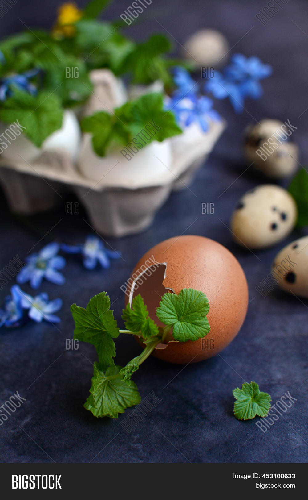 Close- Eggshell Image & Photo (Free Trial) | Bigstock