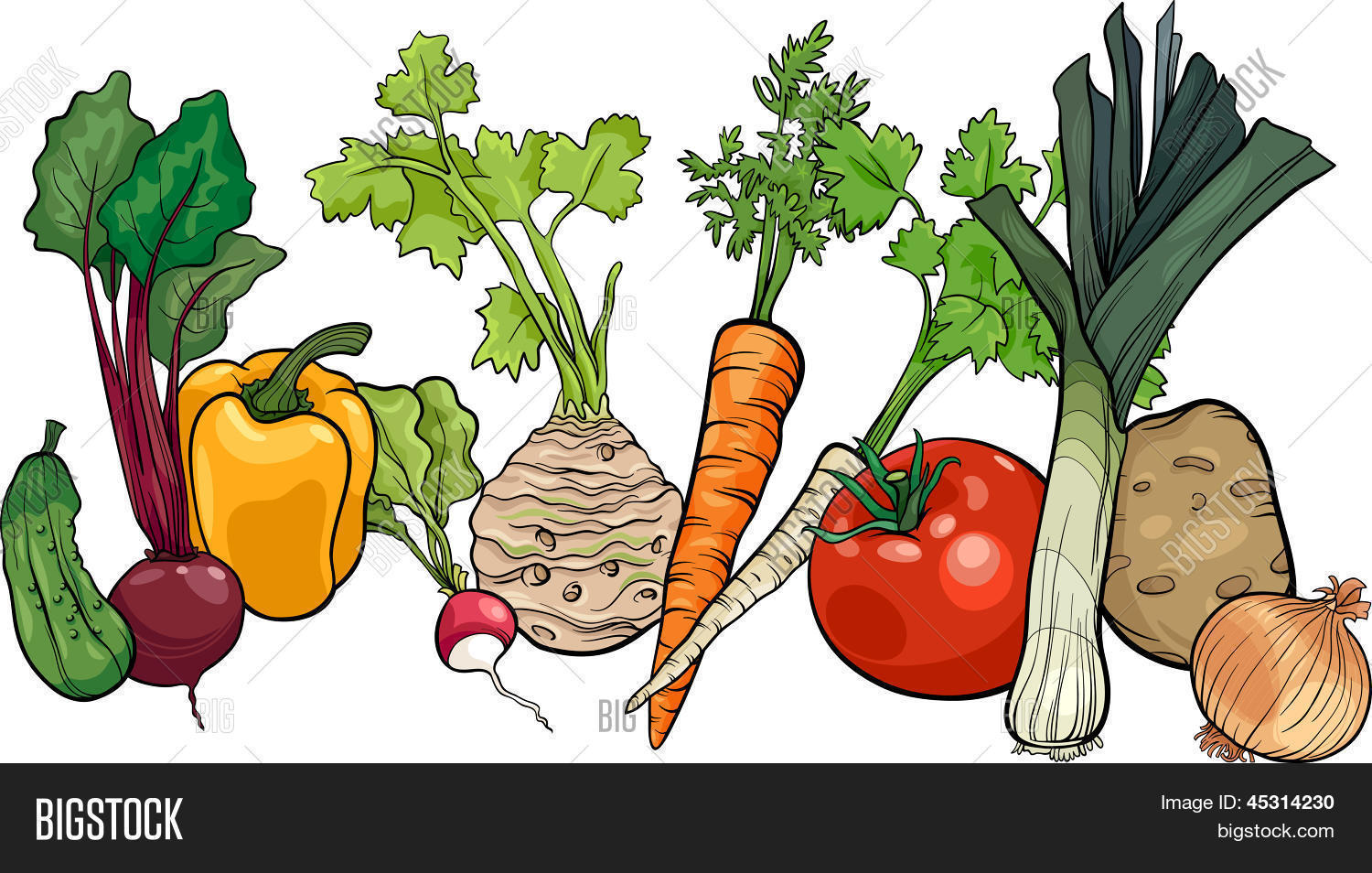 Groenten vector en foto (gratis proefversie) | Bigstock Groenten vector en foto (gratis proefversie) | Bigstock