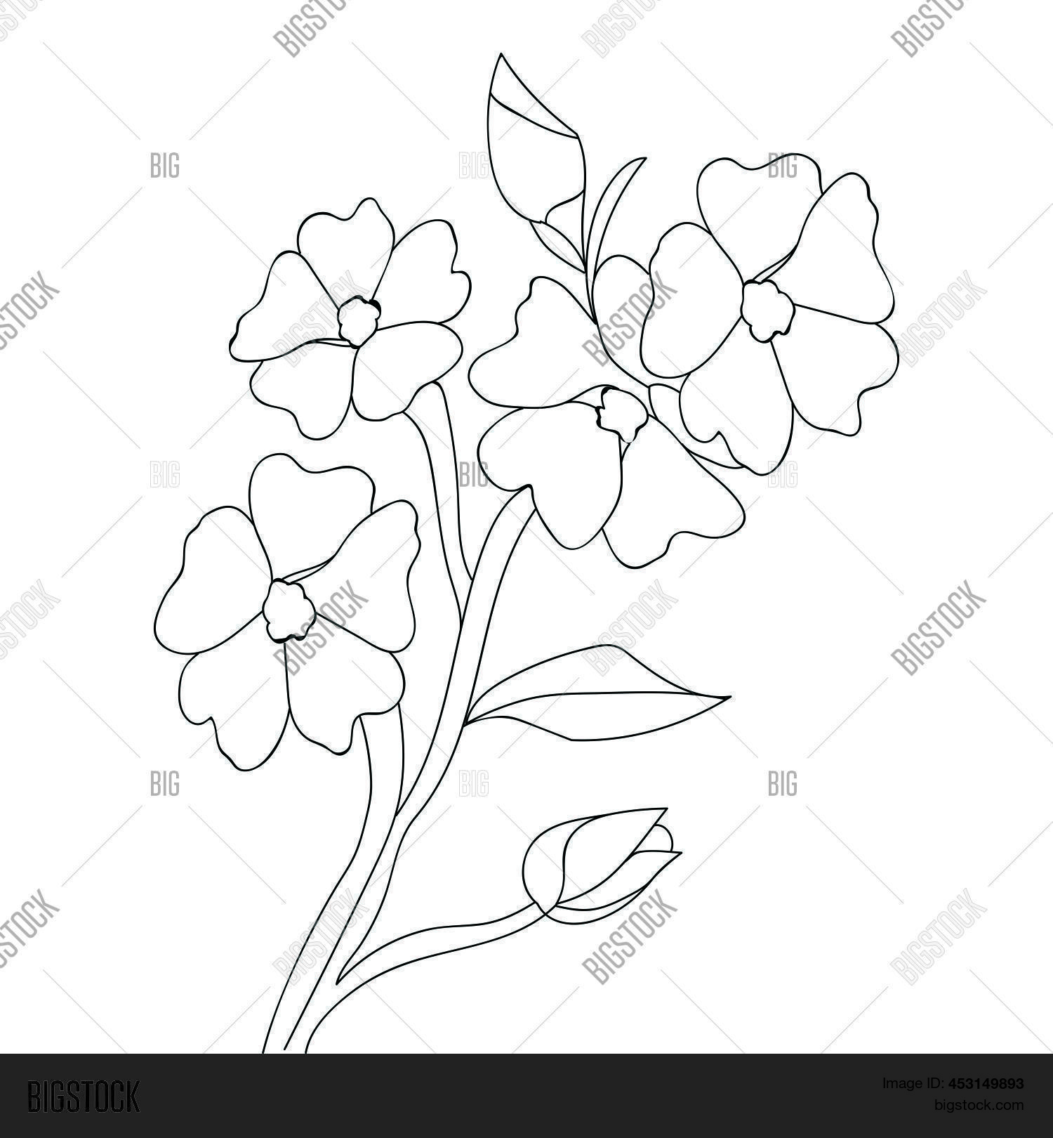 Stroke Line Art Vector & Photo (Free Trial) | Bigstock