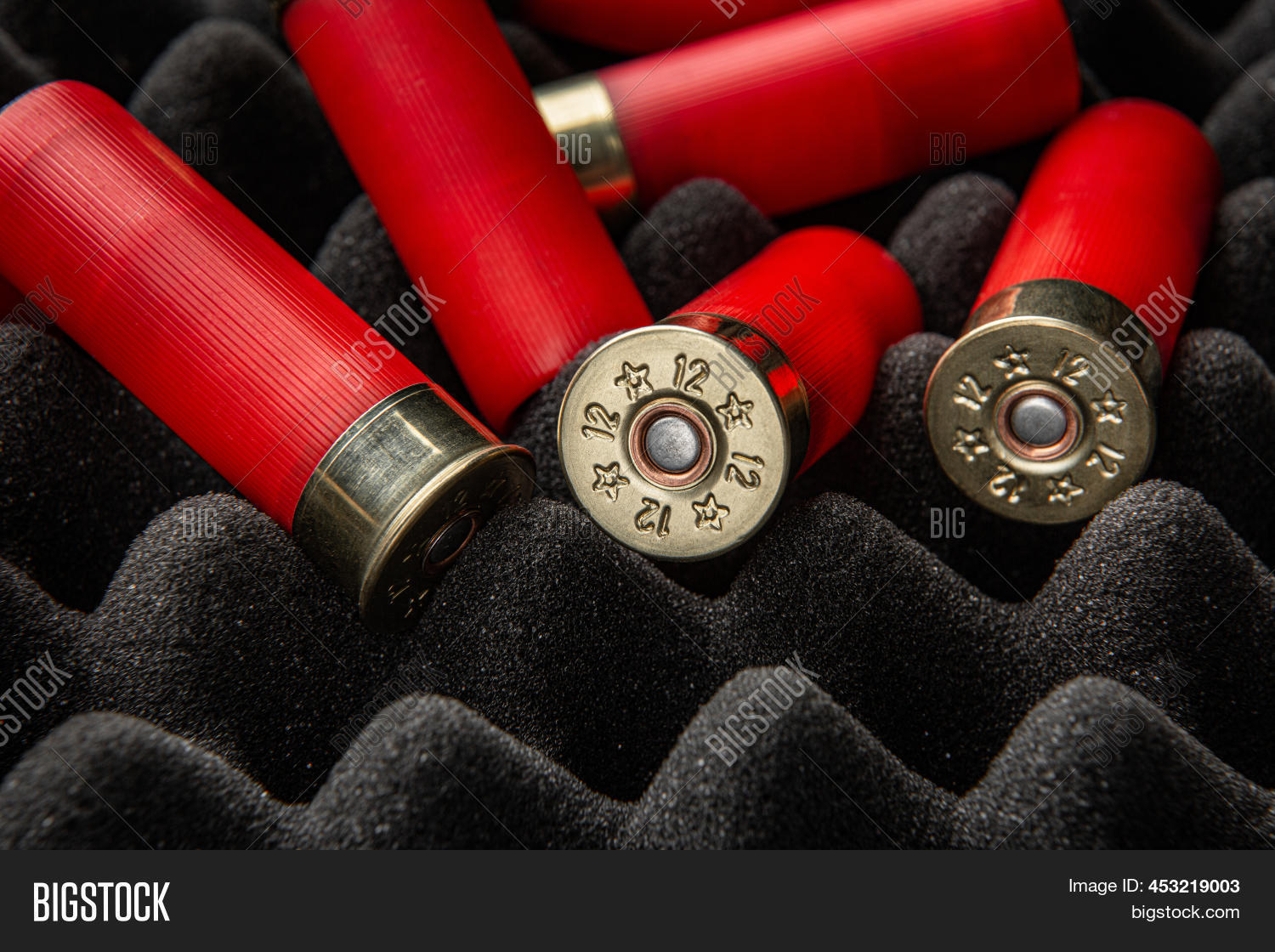 Shotgun Shells On Foam Image & Photo (Free Trial) | Bigstock