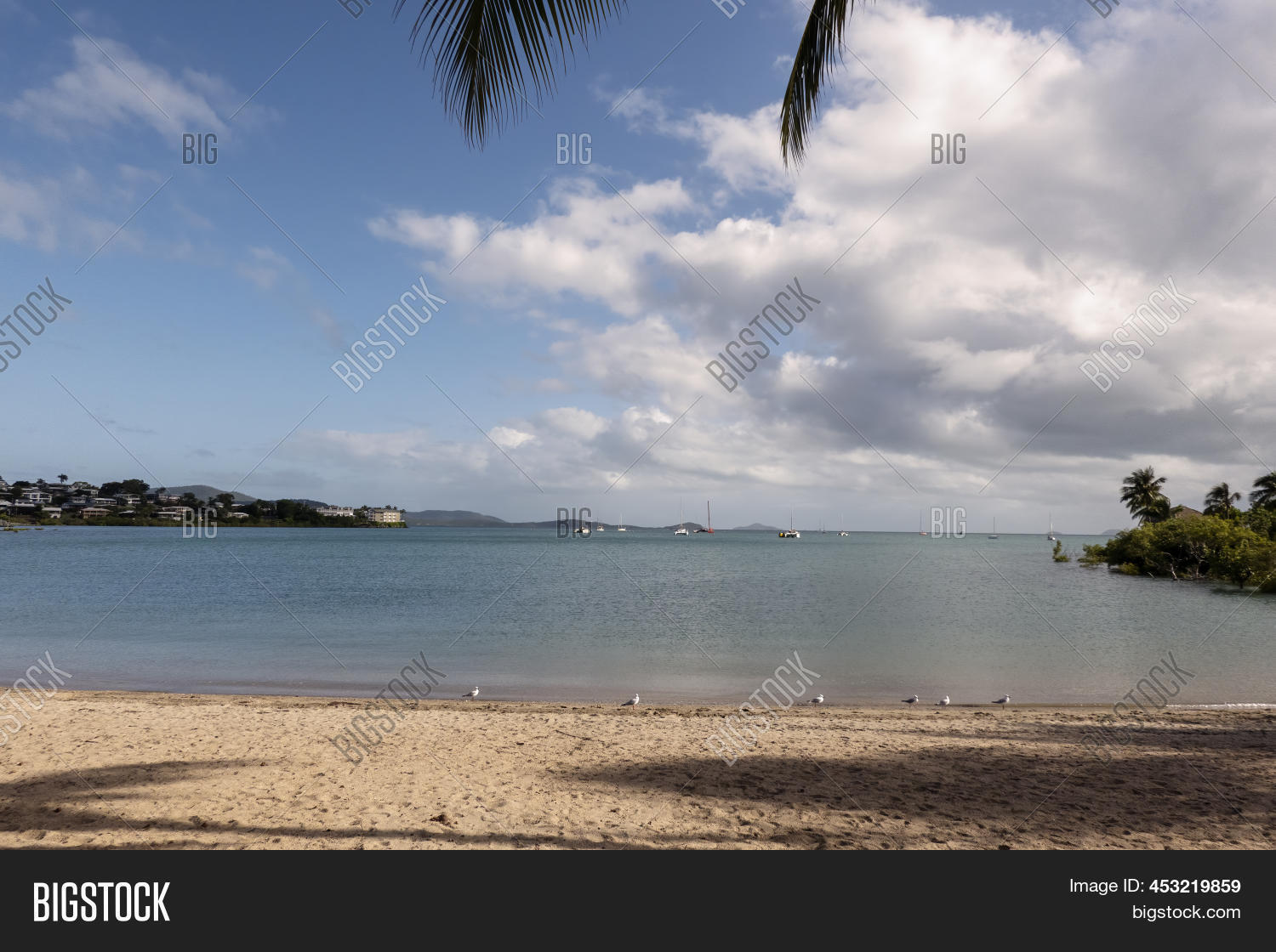 Beach Foreshore Image & Photo (Free Trial) | Bigstock