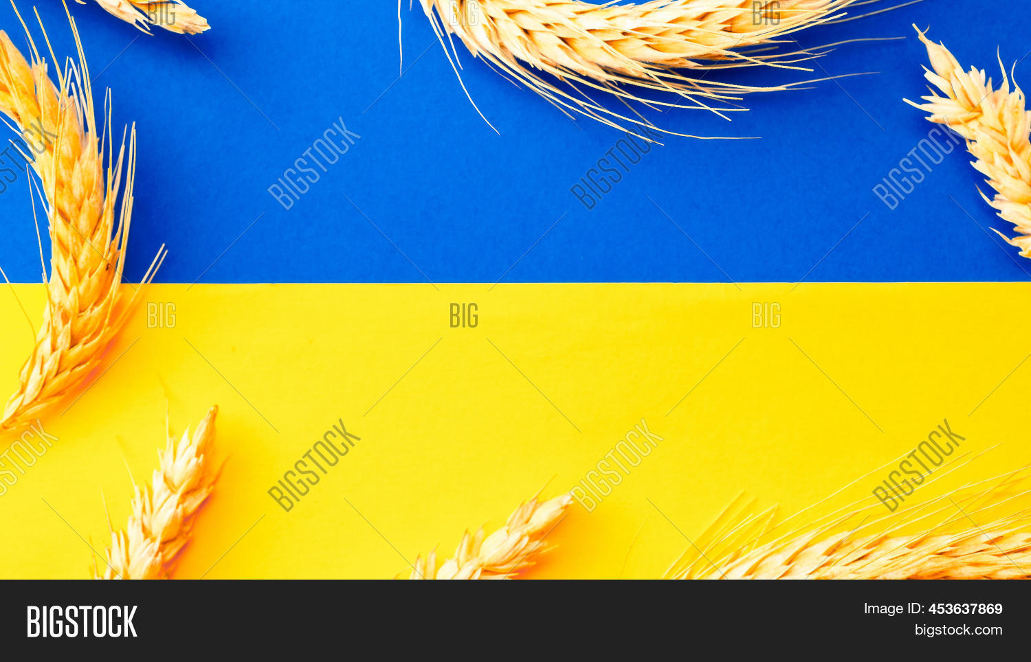 Ukraine Flag Wheat Image & Photo (Free Trial) | Bigstock