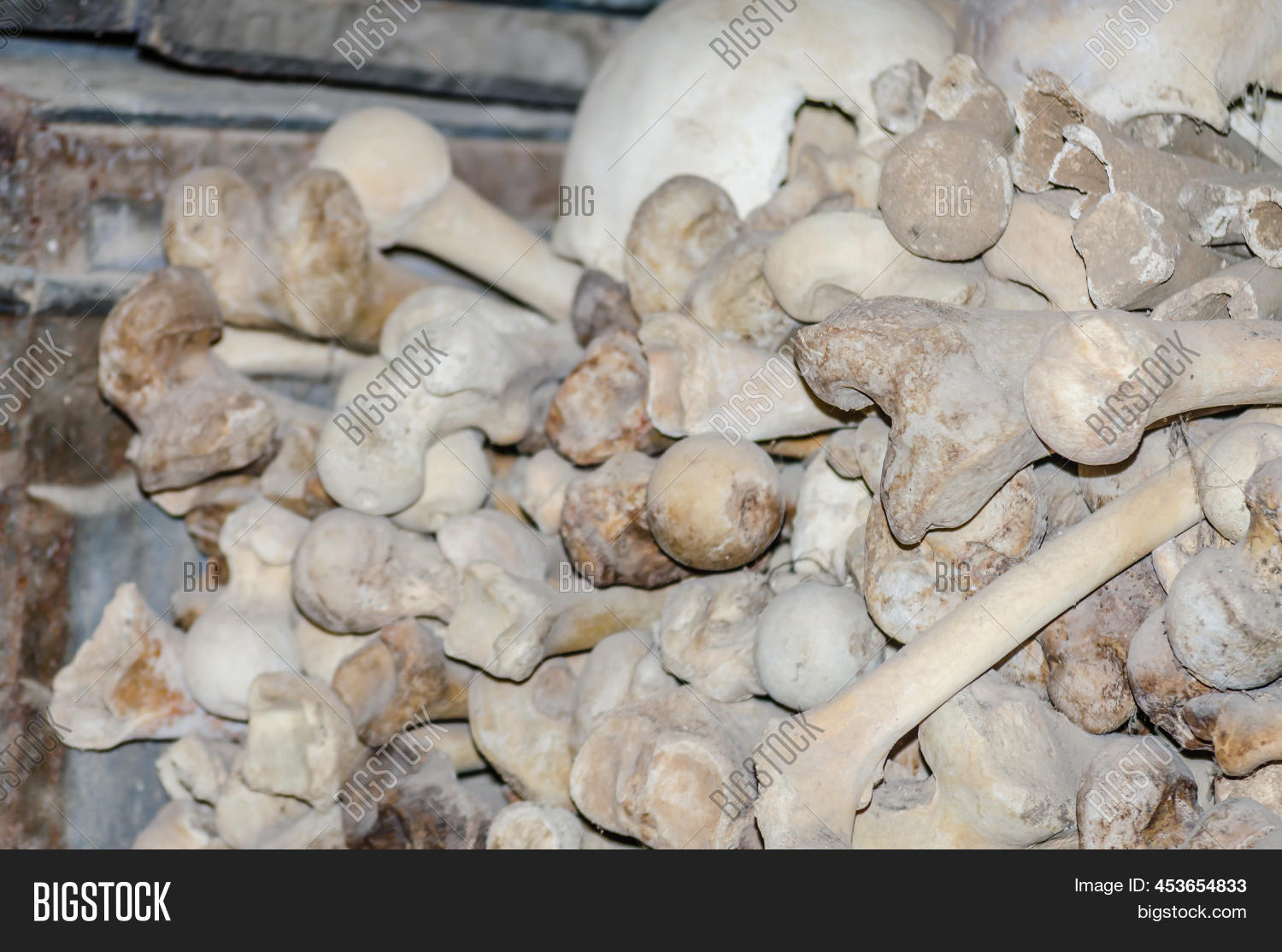 Holy Bones Deceased Image & Photo (Free Trial) | Bigstock