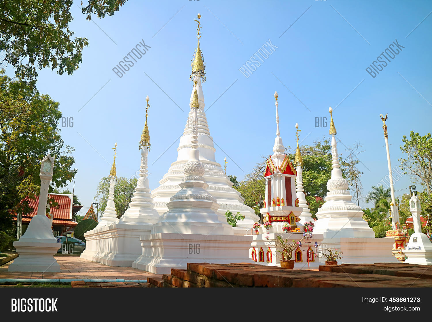 Group Amazing Mon Image & Photo (Free Trial) | Bigstock