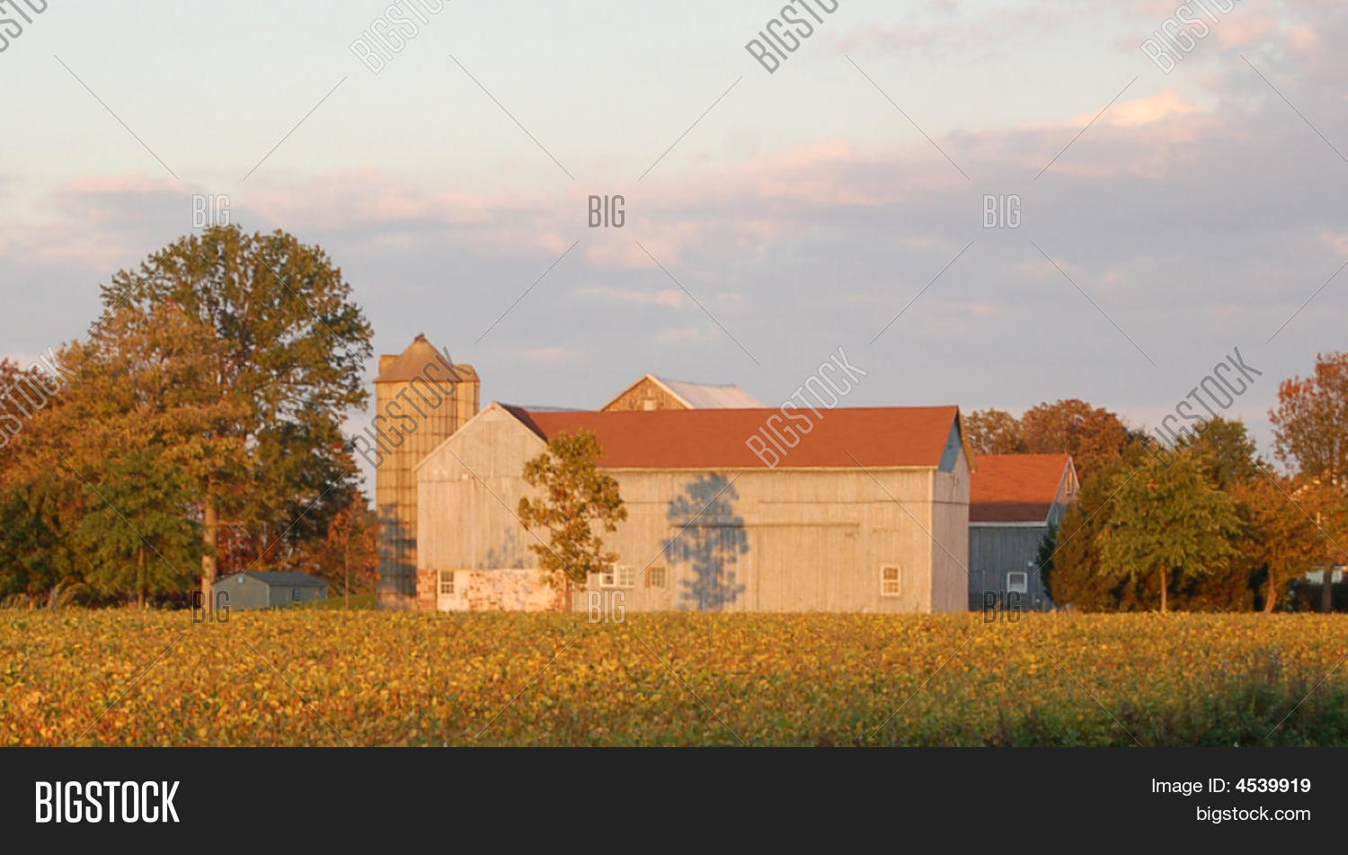 Bucks County Farm Image & Photo (Free Trial) | Bigstock