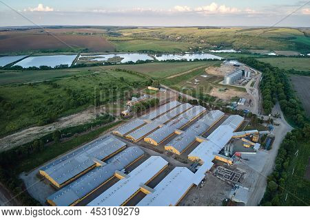 Aerial View Cattle Image & Photo (Free Trial) | Bigstock