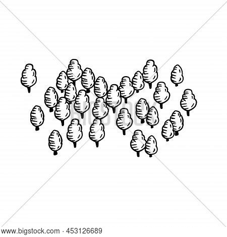 Sketch Forest Map. Vector & Photo (Free Trial) | Bigstock
